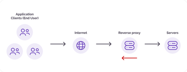 What is a reverse proxy? A solution for website speed and security ...