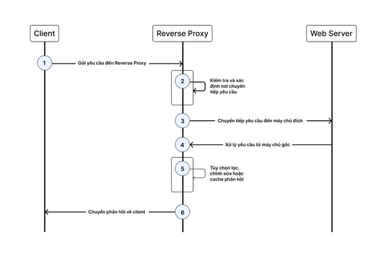 Reverse proxy là gì? Giải pháp tăng tốc độ và bảo mật website - blog ...