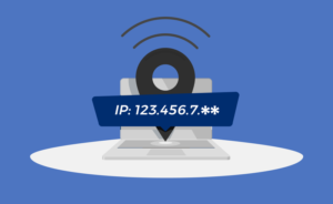Public IP address lookup: How to check and understand your IP details ...