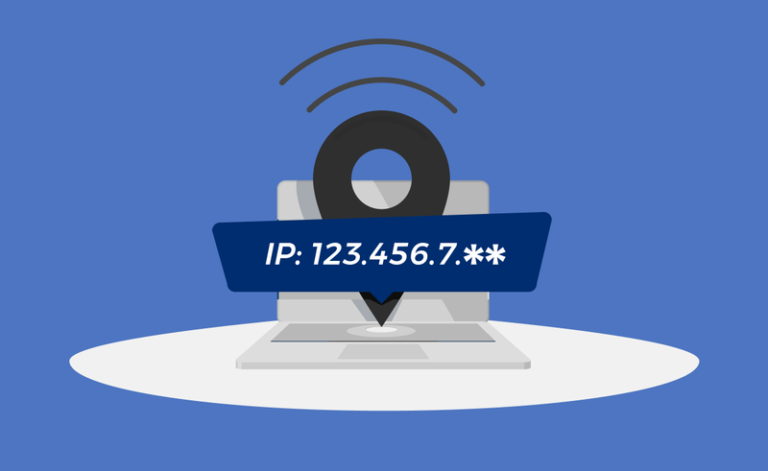 Public IP address lookup: How to check and understand your IP details ...